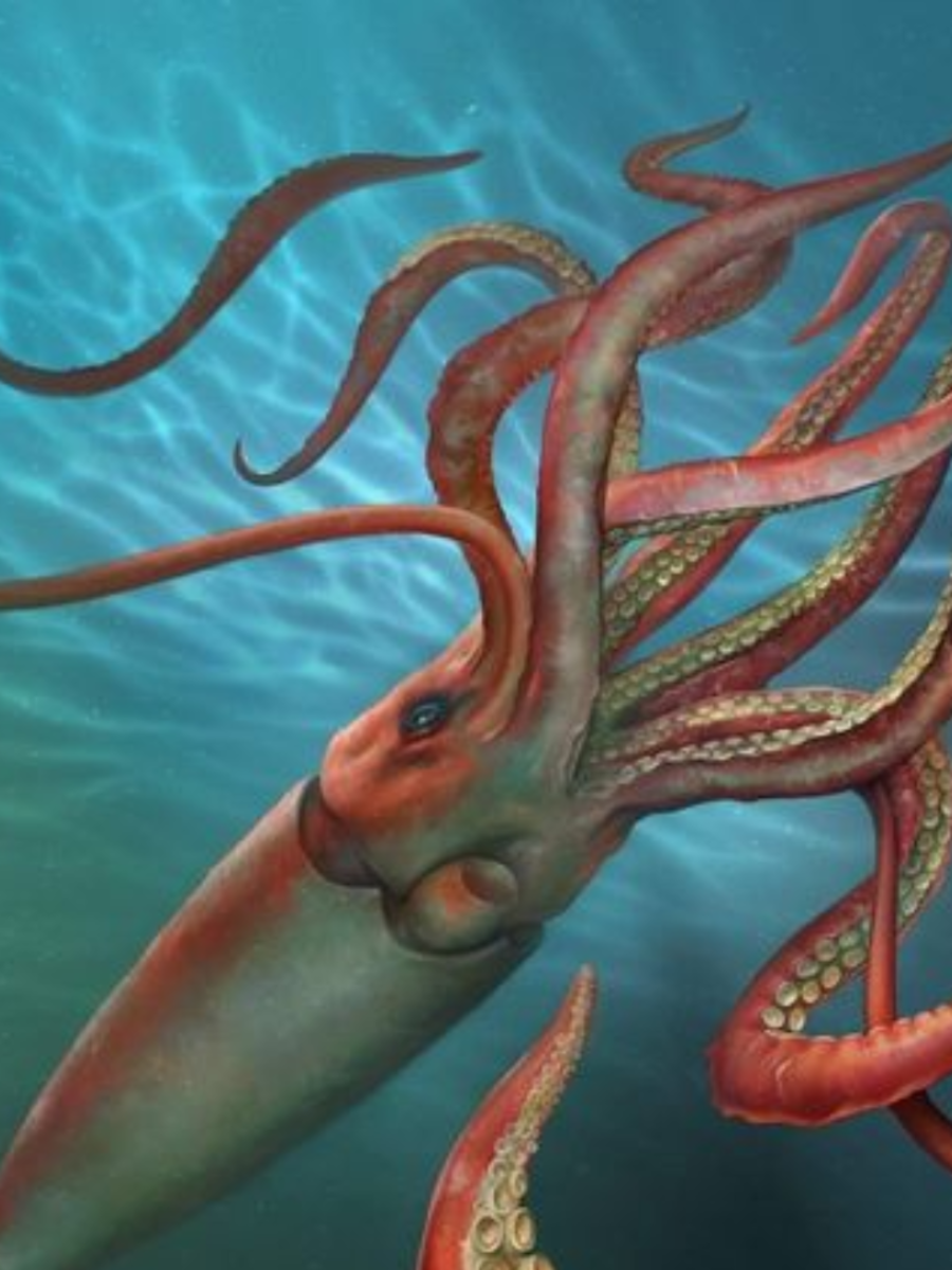 5 Giants From The Ocean | Times Now