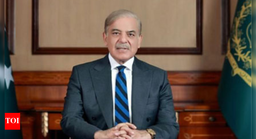 Shehbaz Sharif elected Pakistan prime minister for second time after ...