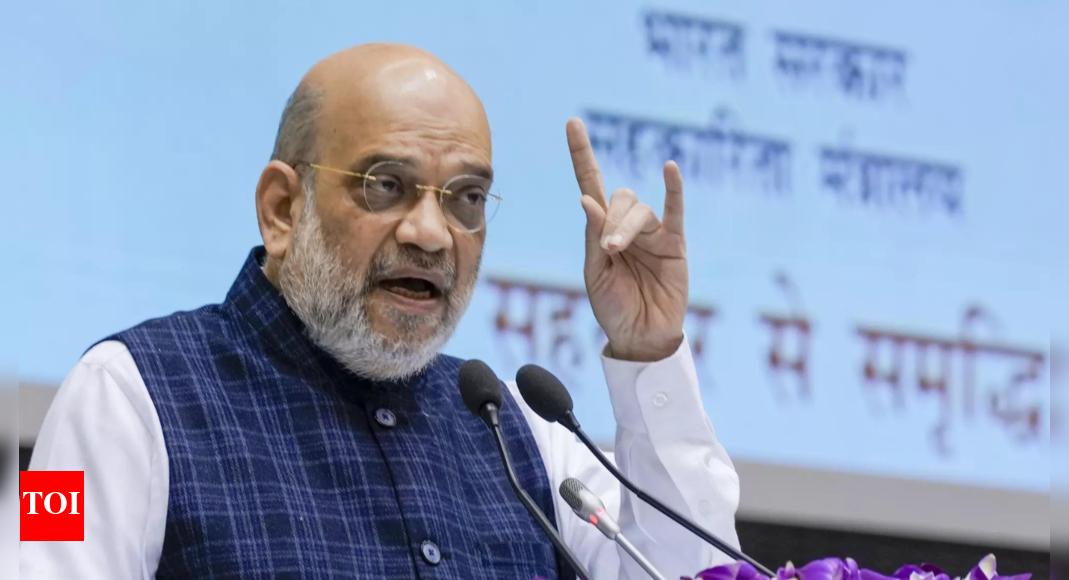 Amit Shah: Government's anti-drug steps behind drastic rise in arrests ...
