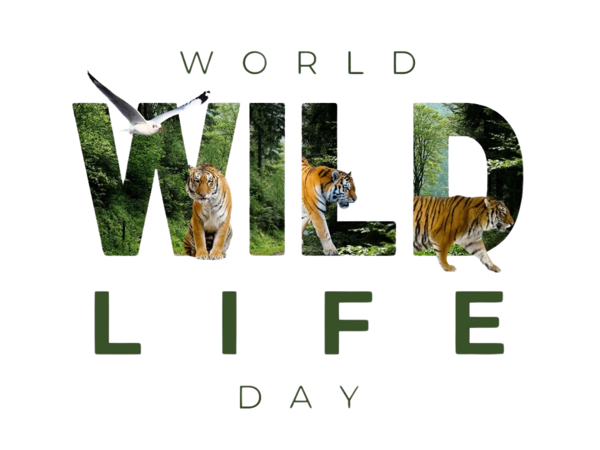 Sini Shetty champions Tiger conservation on World Wildlife Day
