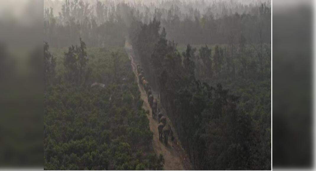 Vantara: Can you visit Vantara, Anant Ambani’s ambitious wildlife ...