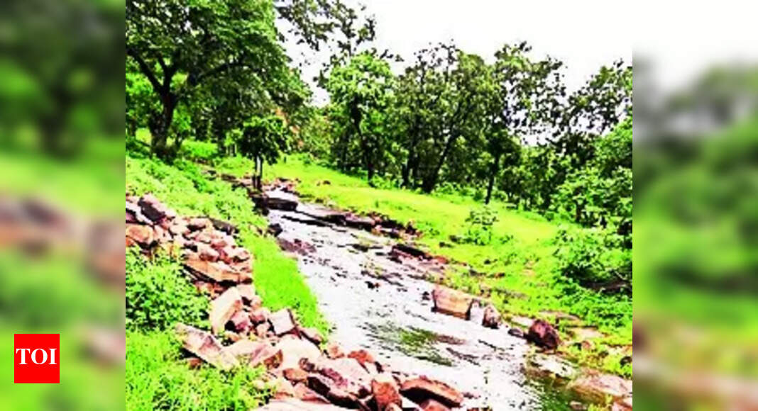 Vatavaran Short Film Festival: Green Frames: Vatavaran Short Film ...