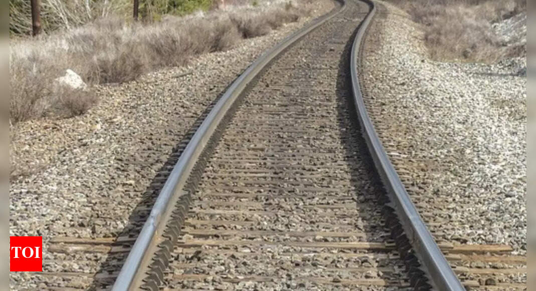 Woman: Woman (40) pushed off moving train by TTE for boarding wrong ...