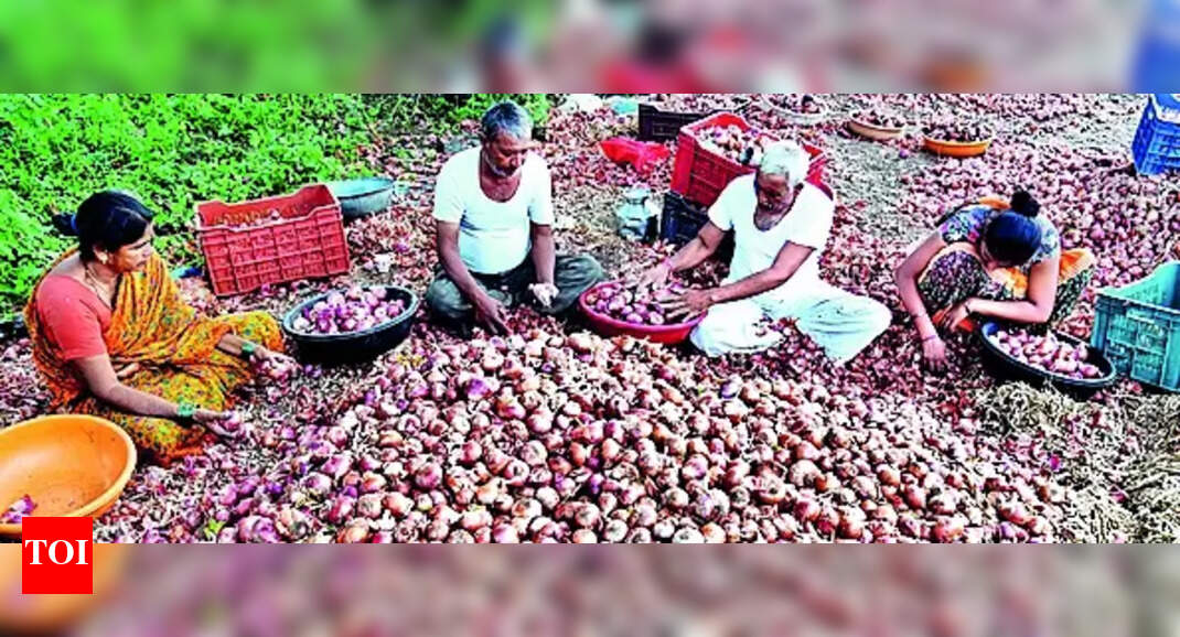 Summer Onions: Arrival of Summer Onions Begins at Lasalgaon APMC Nashik | Nashik News - Times of ...