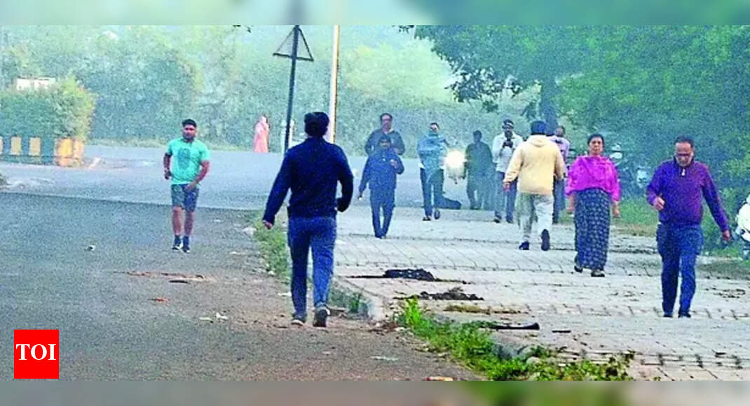 Nashik City: Nashik city’s minimum temperature drops again, Niphad ...