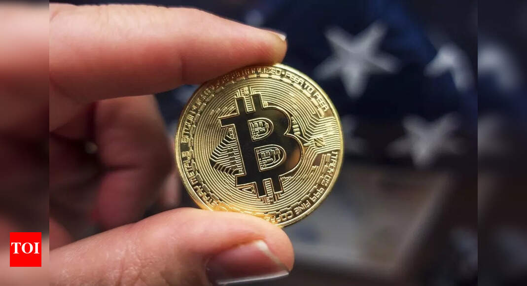 Bitcoin scales new peak of $69,200 - Times of India