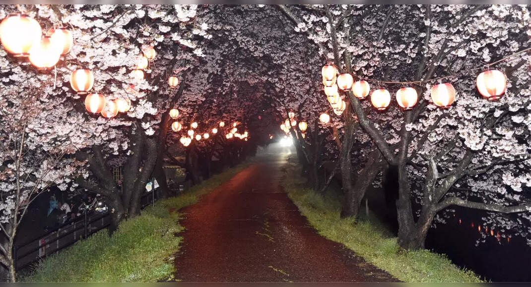 Spring Festivals Travel: Spring festivals around the world worth ...