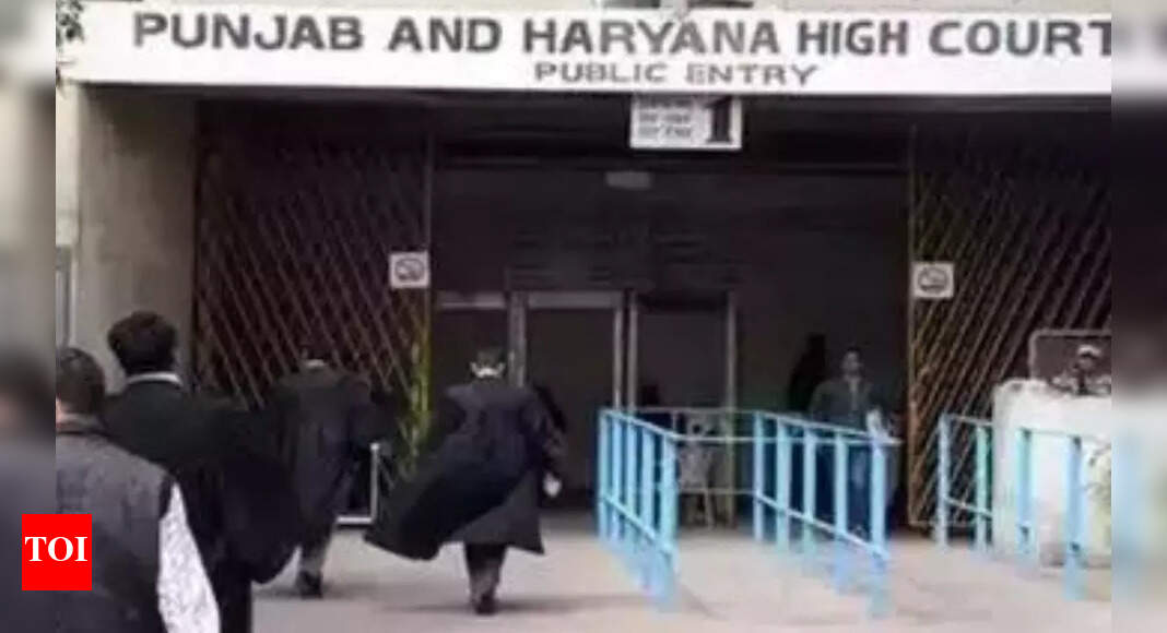 Drug Cases Probe In Drug Cases Punjab And Haryana High Court Directs