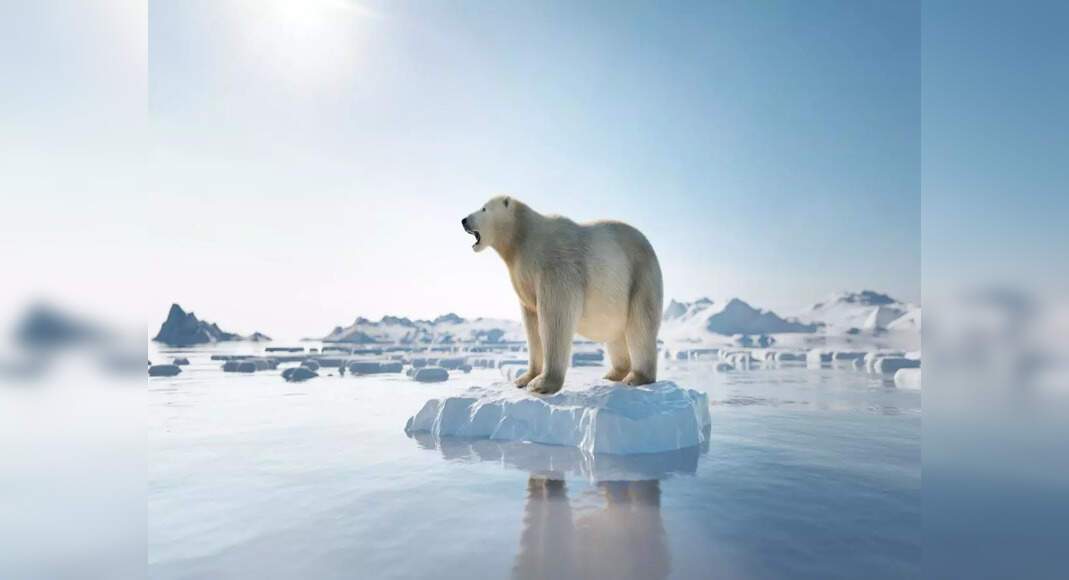 The Arctic could likely be ‘ice-free’ in just 10 years, warn scientists ...