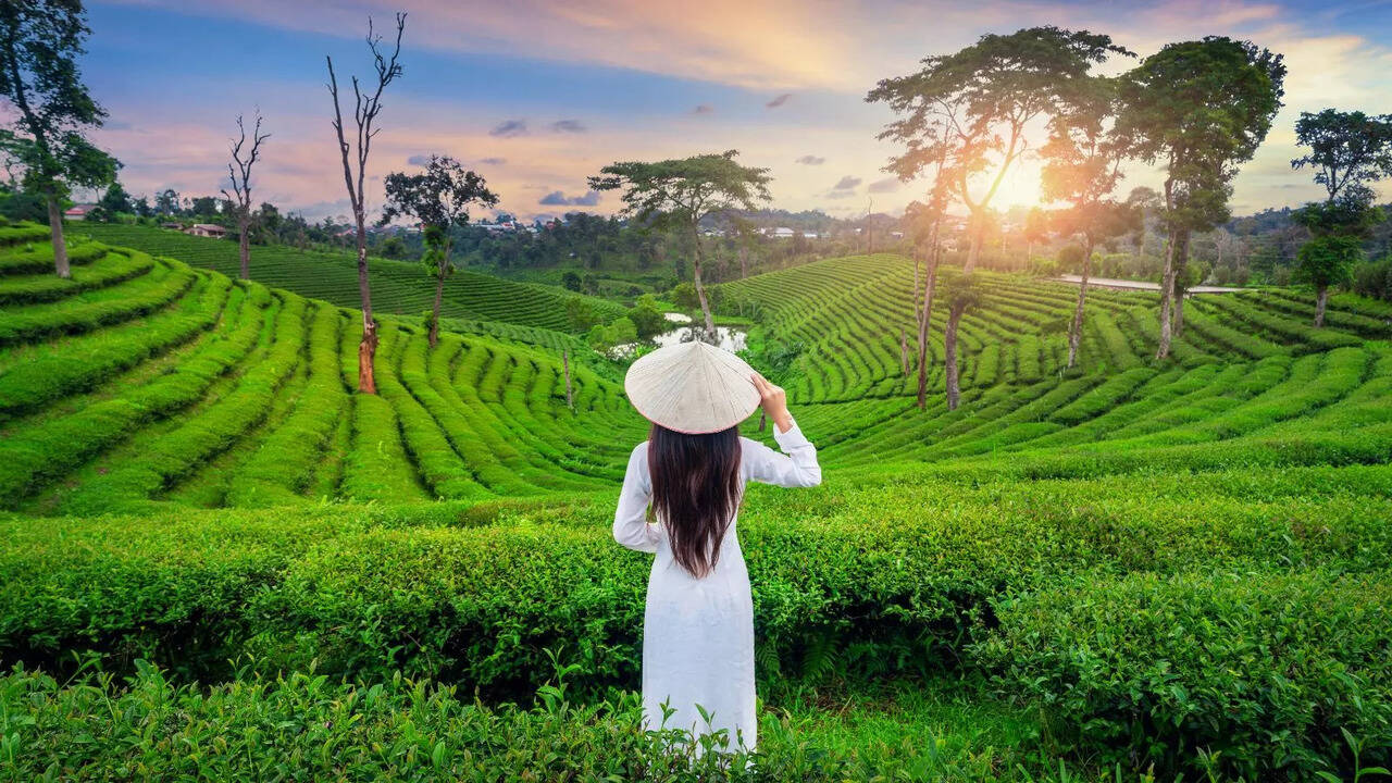 Discover The Best Season To Visit Kerala In 2024: A Traveler's Guide