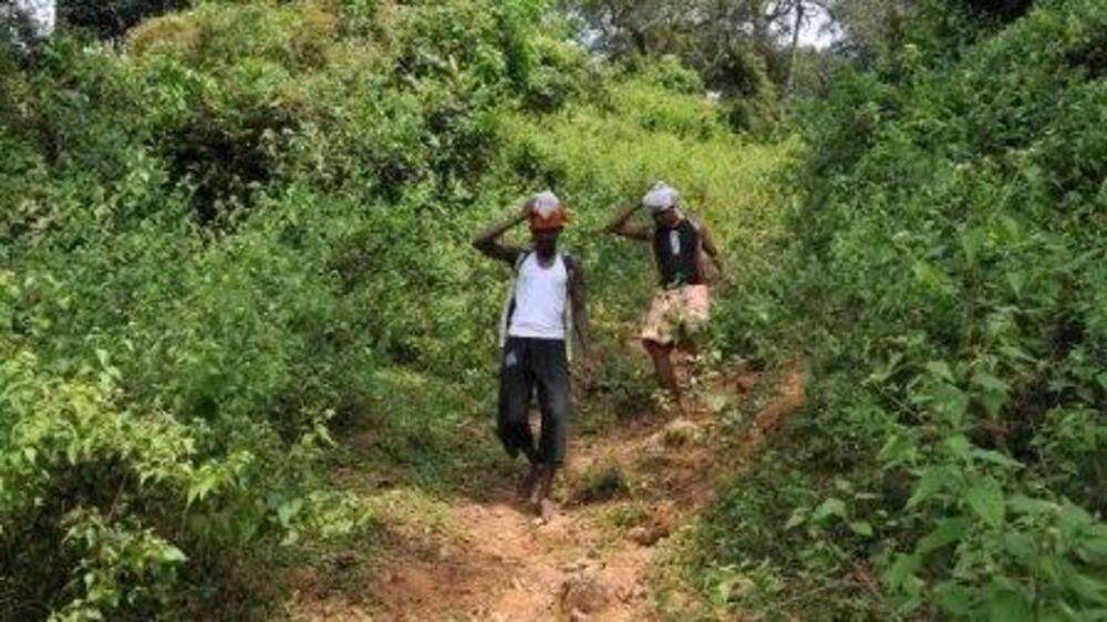 Sabarimala pilgrimage begins | The Times of India