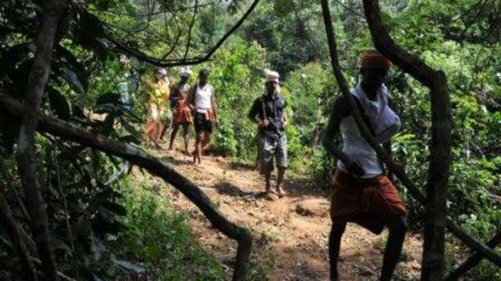 Sabarimala pilgrimage begins | The Times of India