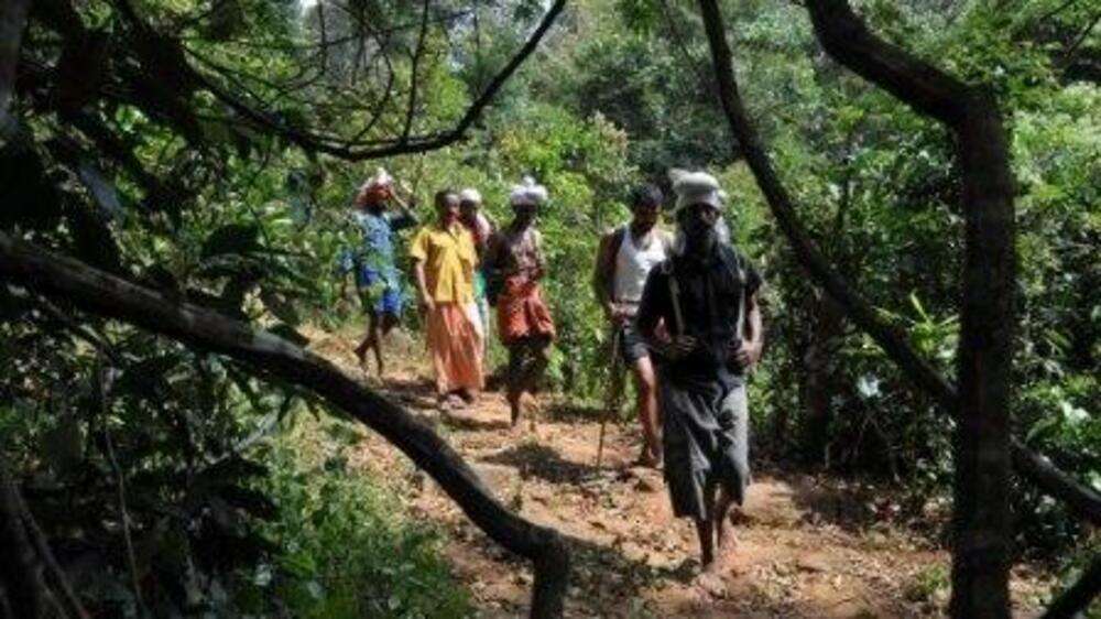 Sabarimala pilgrimage begins | The Times of India