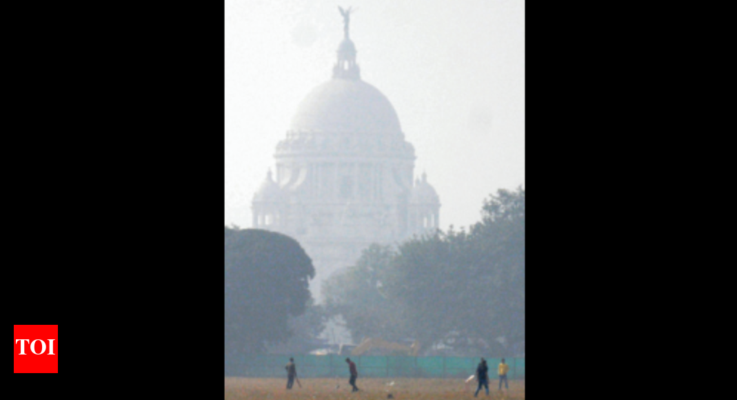 Pollution impact on Kolkata’s cultural heritage worries experts ...