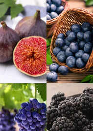 5 nutrients that can help increase your red blood cell count | The ...