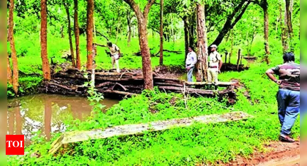 Wild Animals: Chief Secretary Asks Forest Department to Seek Centre’s ...