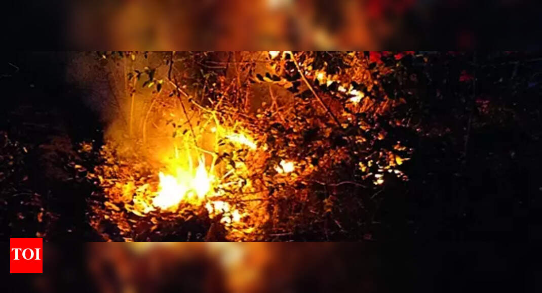 Major Fire Near Yercaud GH - In-patients Evacuated | Coimbatore News ...