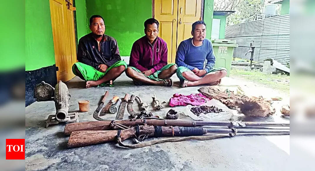 Poachers: 3 poachers arrested for killing deer at Manas National Park | Guwahati News - Times of ...
