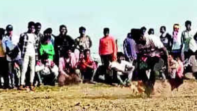 Bengal man attacked by rooster during cockfight, dies | Kolkata News ...