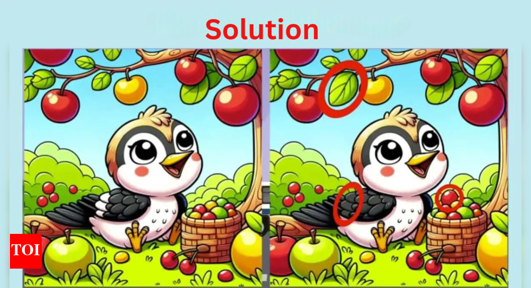 Optical Illusion: Only a genius can find the 3 differences in this bird ...