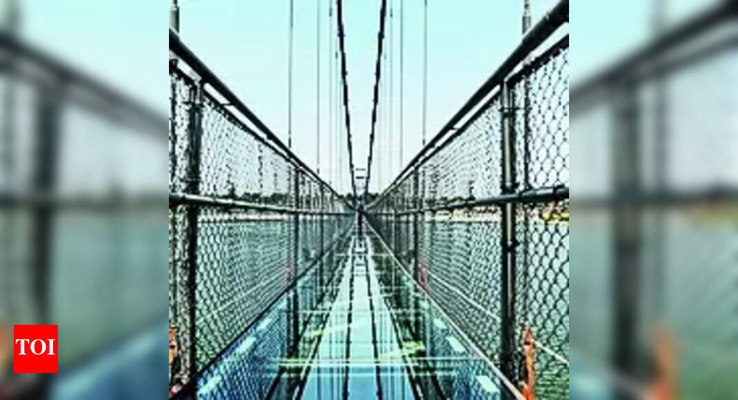 Glass-Bottomed Bridges: Glass-bottomed bridges to offer adventure ...