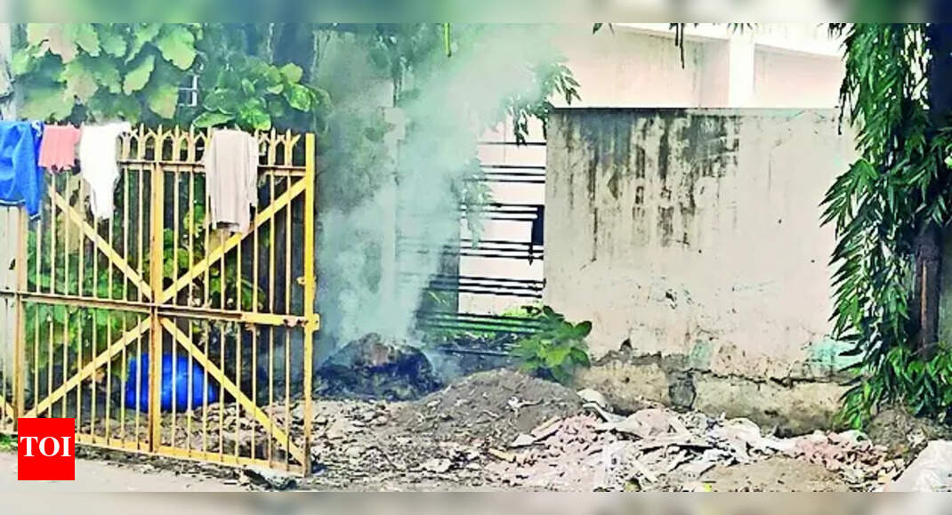 Waste Burning: Waste burning still unchecked: Activist claims MC's ...