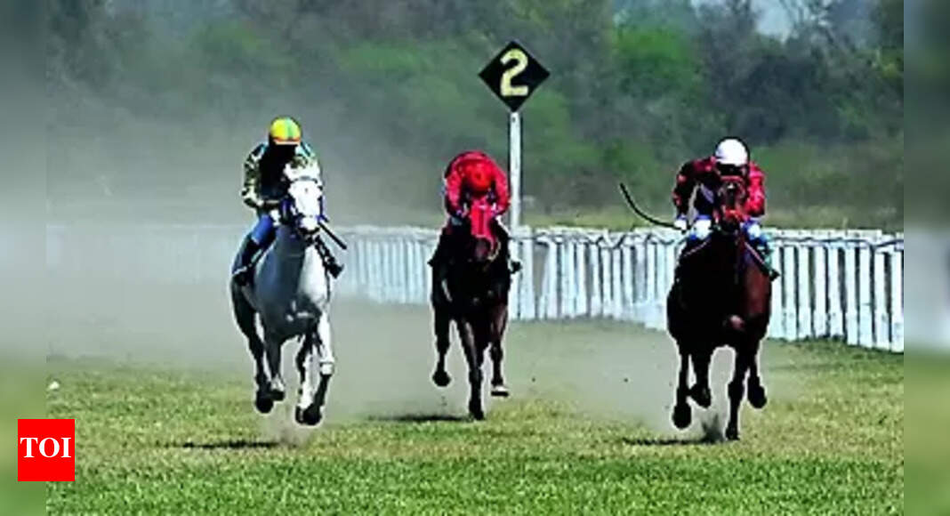 Army Commander Cup: Burak and Col Harty Win Army Commander Cup Races ...