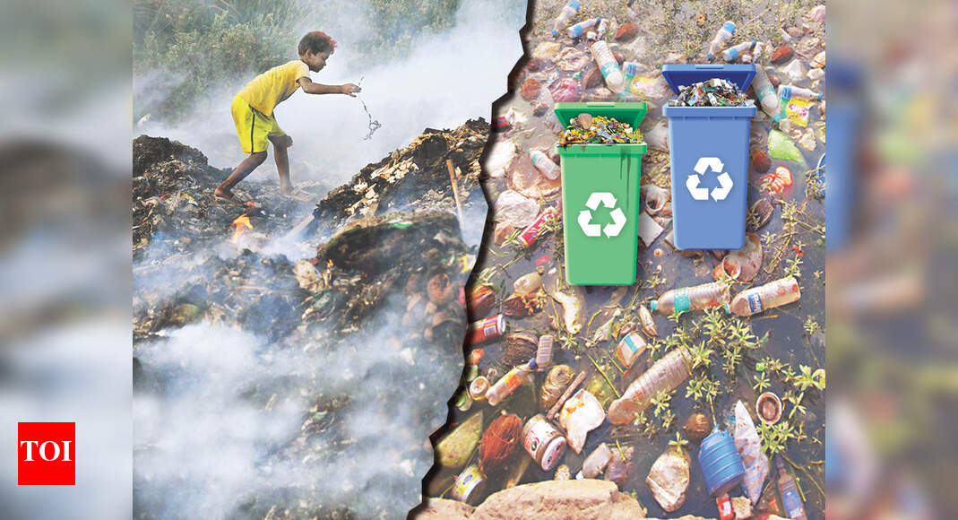 Why India needs better waste management to fight pollution, disease ...