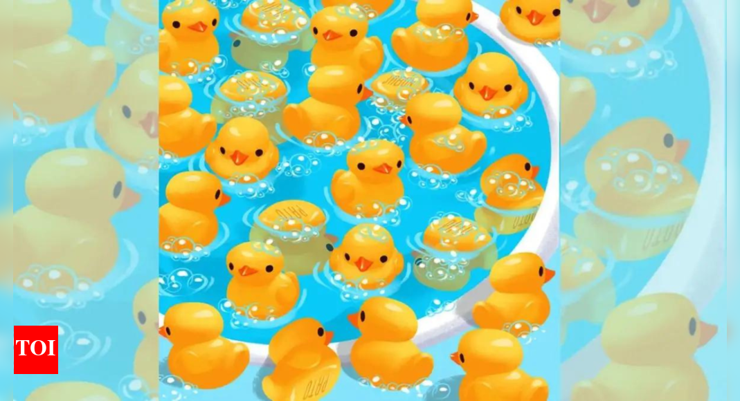 Optical Illusion: Only people with sharpest eyes can spot the soap ...
