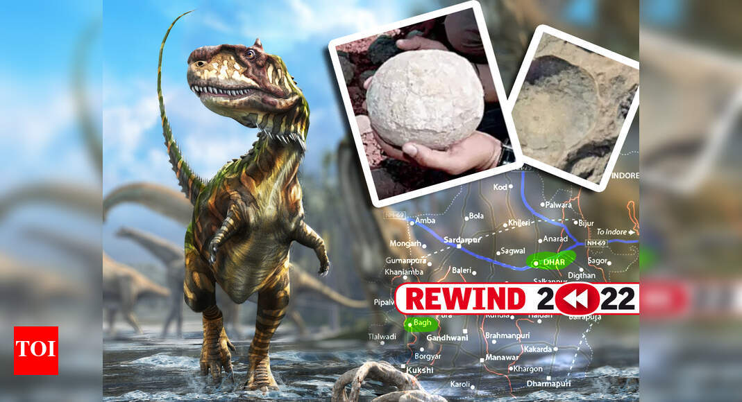 India’s Jurassic Park: How dinosaur fossils in Central India are ...