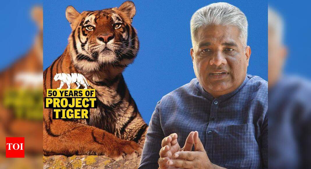 50 years of Project Tiger: Efforts have brought back tigers from brink ...