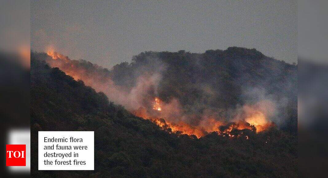 The Other Casualties of Goa’s Forest Fires - Times of India