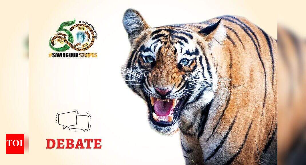 Tiger numbers high where tourists flock - Times of India