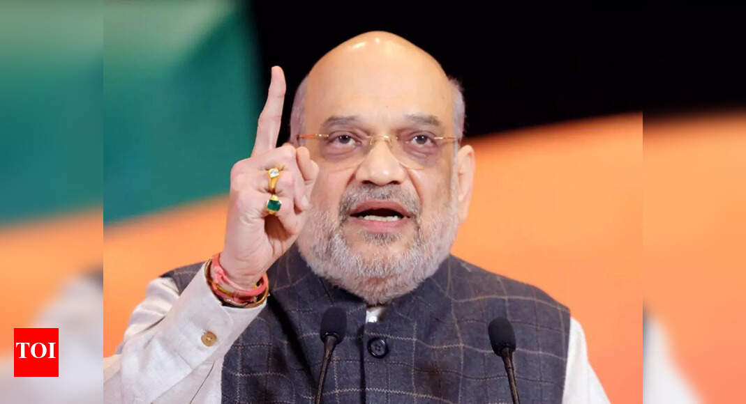CAA: Amit Shah leads BJP's 'jo kaha, so kiya' celebrations | India News - Times of India