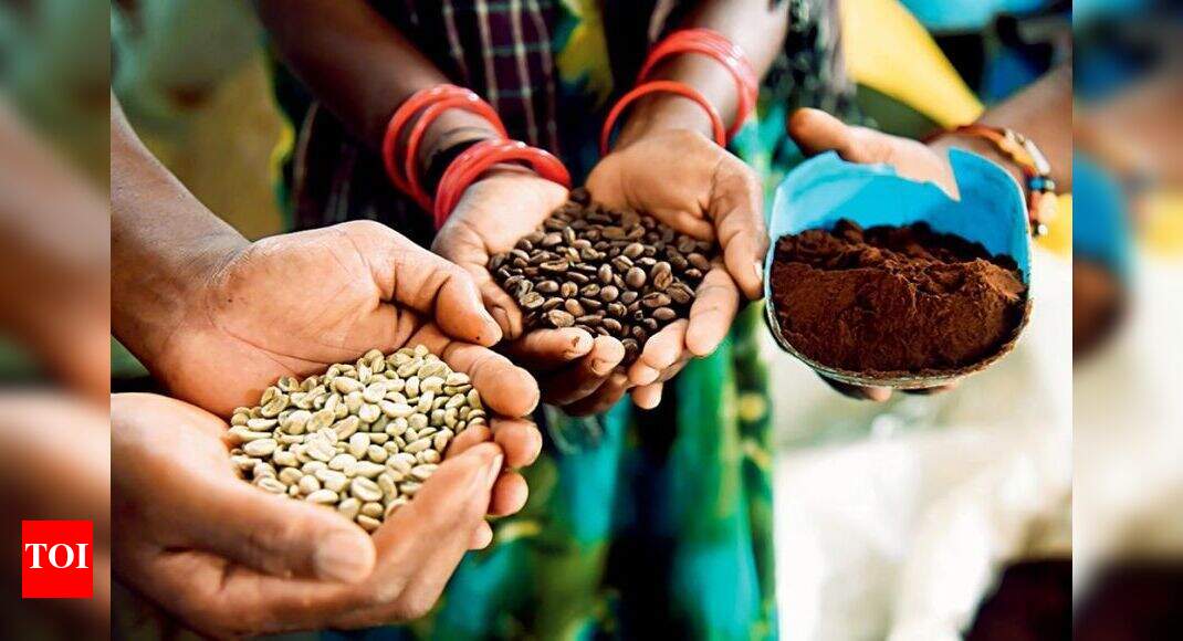 Araku shows how to do kaapi right - Times of India