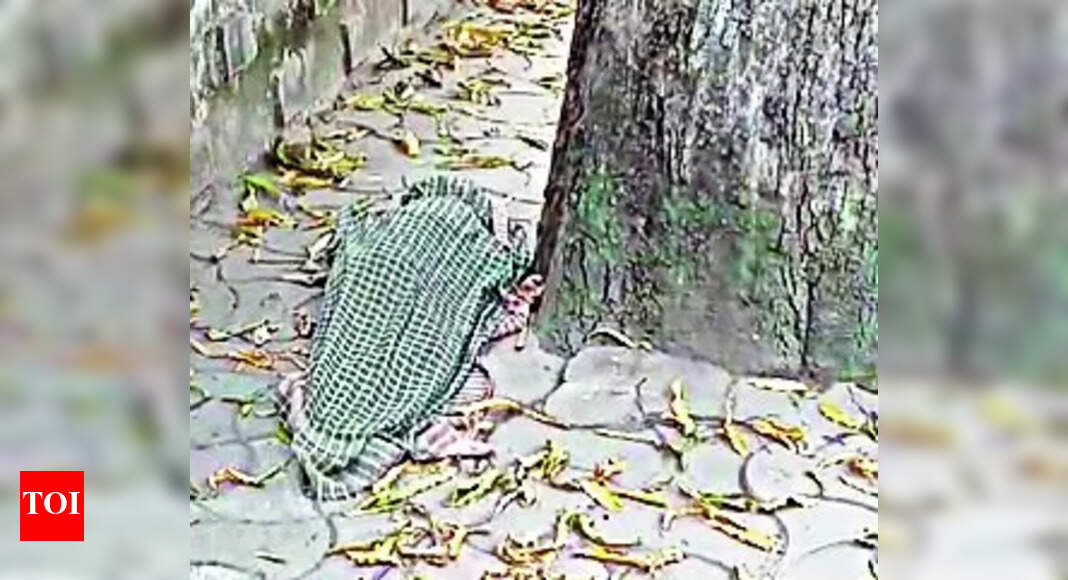 Dead Child: Dead child on pavement: Police drop all charges in Kolkata ...