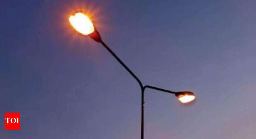 Smart Streetlight Policy: 10 Months On: Future Remains Dark For Capital ...