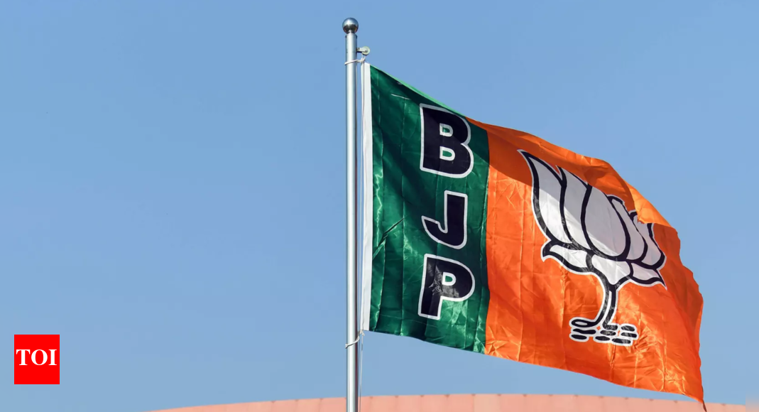 BJP demands global ideas competition to decide Mumbai Central Park ...