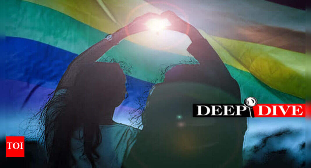 Supreme Court vs Centre: What the battle over same-sex marriage law ...
