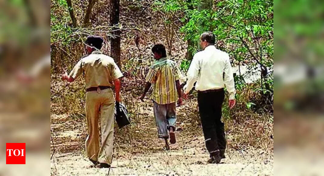 Forest Employee: Foresters propose equipping staff with 'ghungru ...