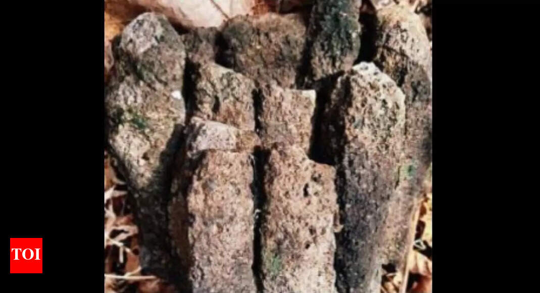 Basalt Rocks: 65-mn-year-old Basalt Rocks Found in Asifabad Forests ...