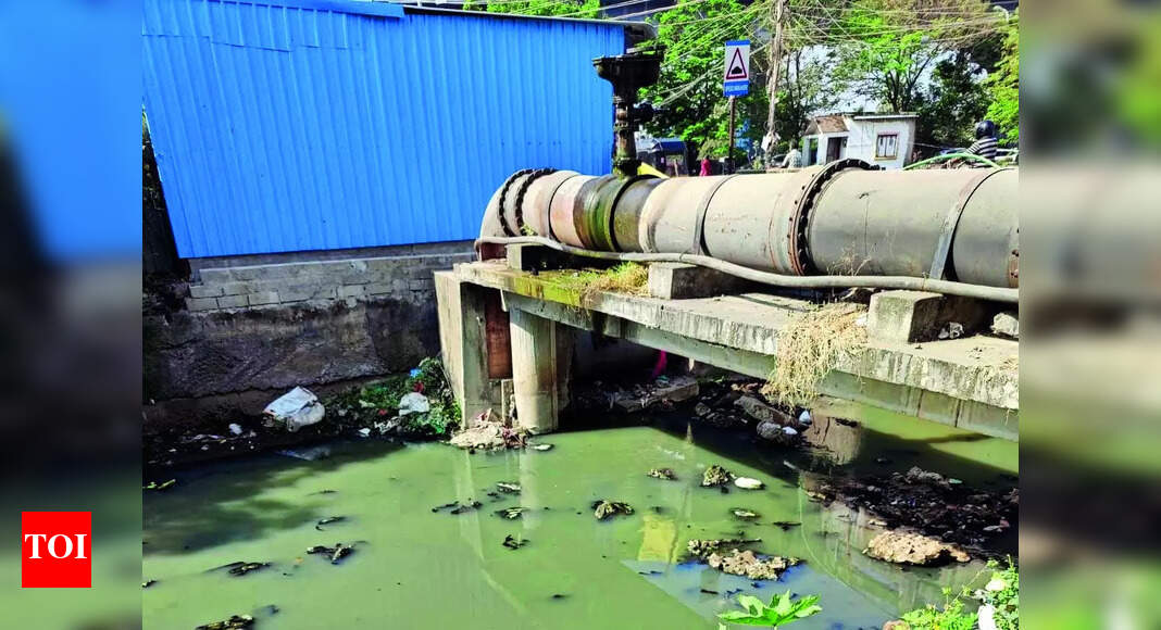 Sewage Stench: Persistent Sewage Stench Troubles Adambakkam Residents ...