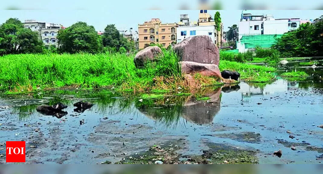 Trimulgherry Lake: Reviving Sewage-Filled Trimulgherry Lake in ...