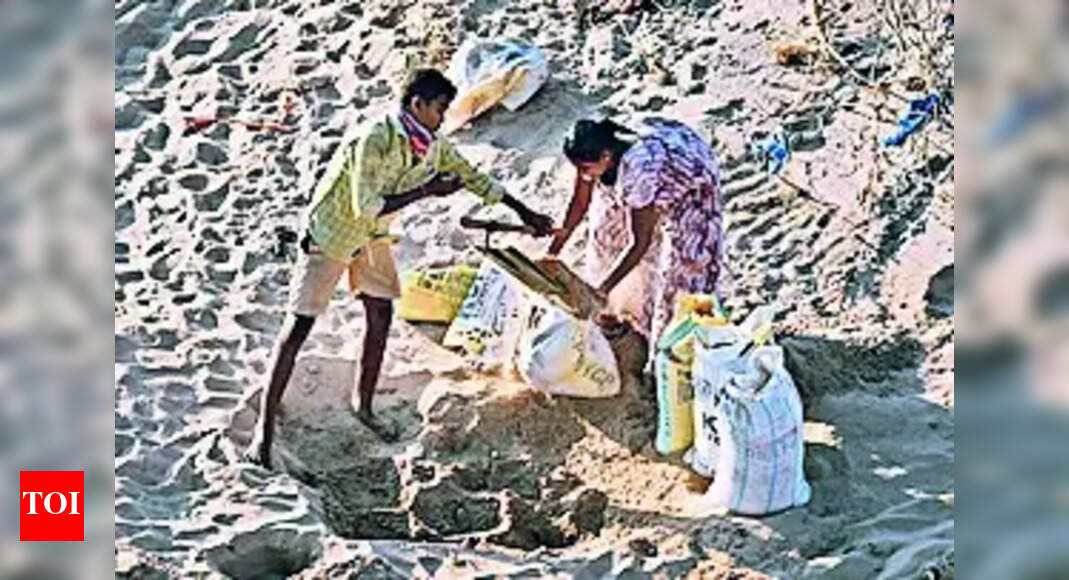 Panic Purchase Of Sand: Panic Purchase of Sand Ahead of Poll Code ...