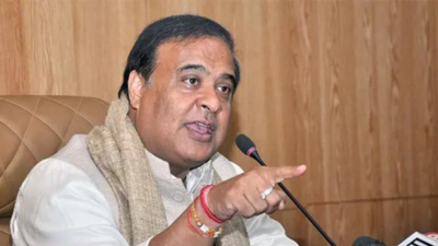 Himanta Biswa Sarma says CAA 'completely insignificant' in Assam | India News - Times of India