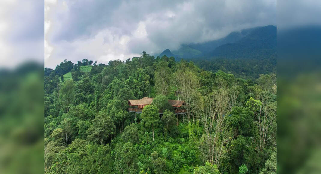 Wayanad Places to Visit: 5 places nature lovers must visit in Wayanad ...