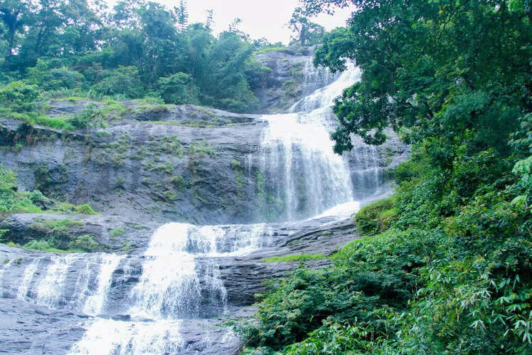 Wayanad Places to Visit: 5 places nature lovers must visit in Wayanad ...