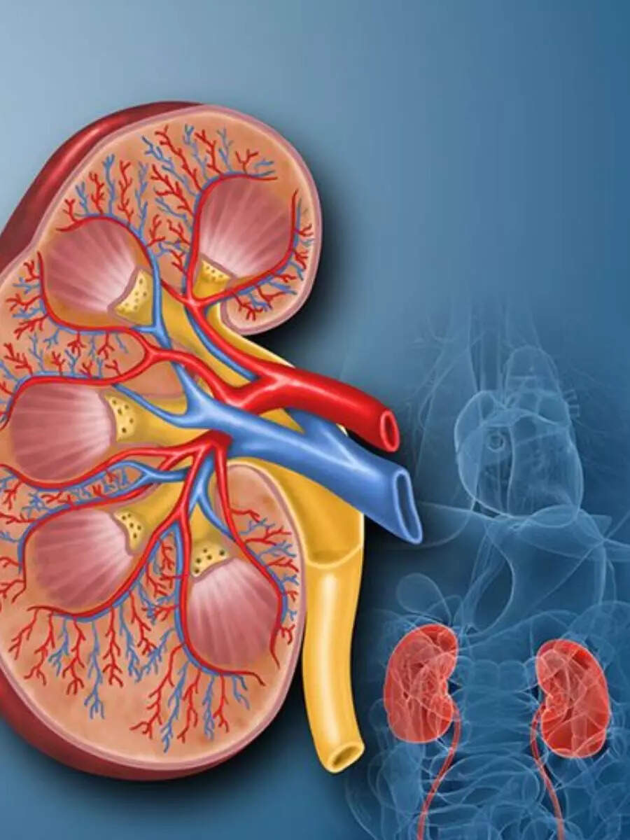 Berries To Fatty Fish, 9 Foods That Boost Kidney Health | Zoom TV