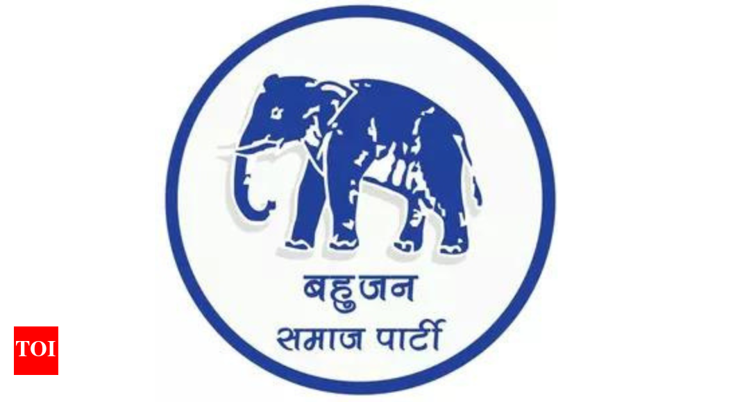 Telangana BSP president Praveen Kumar quits party | India News - Times ...