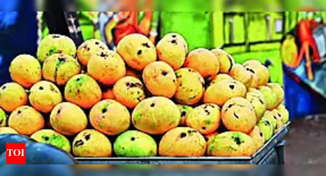 Adulterated Mangoes: Illegal Mango Racket Busted in Hyderabad, 2 Arrested with 3L Worth ...